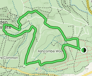 Ashcombe Wood and Ranmore Common Circular, 671 Fotos - Surrey, England ...