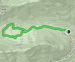 Echo Mountain Trail: 48 Reviews, Map - Oregon | AllTrails