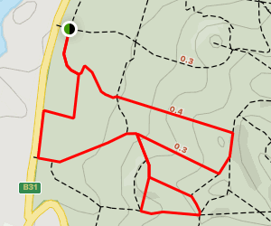 Bennet's Forrest Chain of Ponds - South Australia, Australia | AllTrails