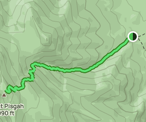 Goshute Mountains Hawkwatch Trail: 10 Reviews, Map - Nevada | AllTrails
