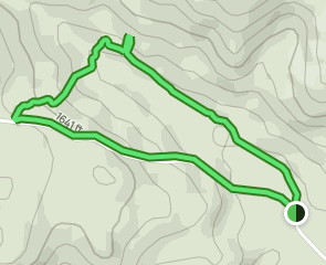Don Mine Loop Walk, Tasmania, Australia - 5 Reviews, Map | AllTrails