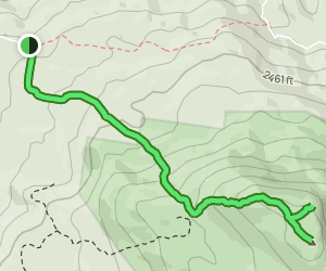 Mount Arthur Walking Track: 163 Reviews, Map - Tasmania, Australia ...