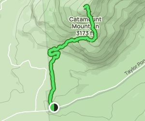Catamount Mountain Trail: 1106 Reviews, Map - New York | AllTrails