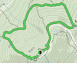 Mount Ainslie Summit Circuit, Australian Capital Territory, Australia ...