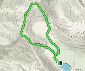 Fossil Ridge Loop via Diana Trail: 1 Reviews, Map - British Columbia ...