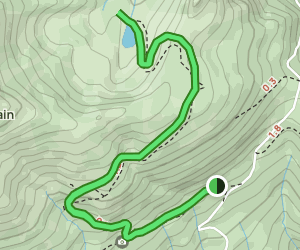 Hinkle Lake Trail | Map, Guide - Oregon | AllTrails