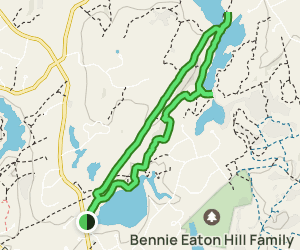 Musquash Pond Trail: 549 Reviews, Map - New Hampshire | AllTrails