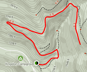Kingston Mine Trail | Map, Guide - Nevada | AllTrails