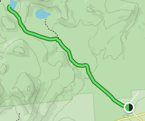 Little Holmes Lake Trail: 3 Reviews, Map - New York | AllTrails