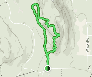 AllTrails | New Lake Bumps: 3 Reviews, Map - British Columbia, Canada