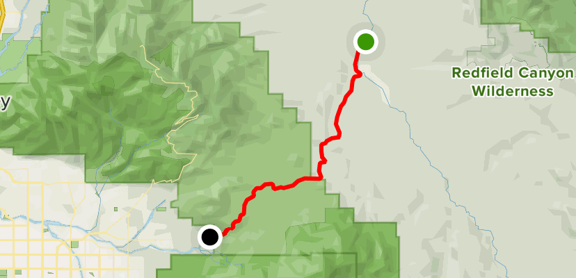 Are Dogs Allowed At Redington Pass