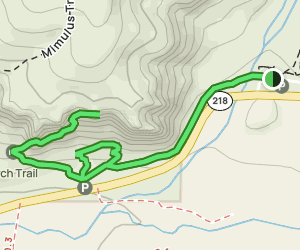Geologic Time Trail and Trail of Fossils | Map, Guide - Oregon | AllTrails