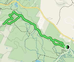 Catamount Hill via Bear Brook Upper Trail : 71 Reviews, Map - New ...