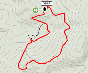 Forest View and Big Trees Nature Trail Loop | Mapa, Roteiro ...