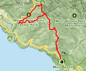 Steep Ravine and Dipsea Loop via Coast View Trail | Map, Guide ...