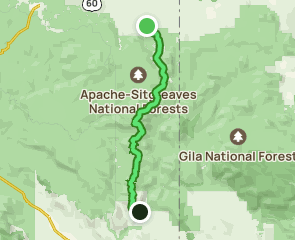 Coronado Trail Scenic Byway: Springerville to Morenci, Arizona - 22 ...