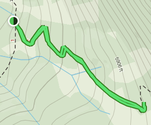 Bigelow Lakes Trail: 12 Reviews, Map - Oregon | AllTrails
