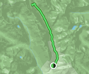 Spider Meadow Trail: 251 Reviews, Map - Washington | AllTrails