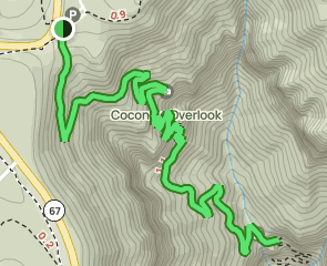 North Kaibab Trail to Supai Tunnel and Coconino Overlook, Arizona - 558 ...