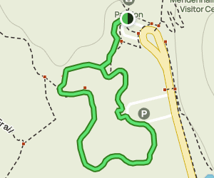 Steep Creek Trail: 36 Reviews, Map - Alaska | AllTrails