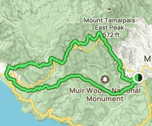Dipsea, Matt Davis, and Redwood Loop, 17.267 Fotos - California | AllTrails
