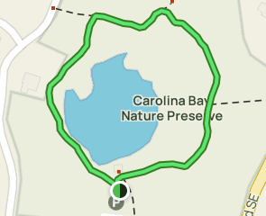 Carolina Bay Nature Preserve Loop, South Carolina - 17 Reviews, Map ...