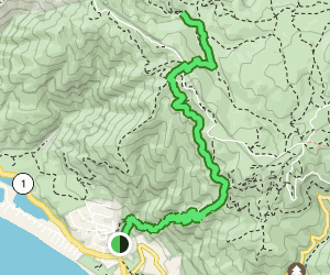 Cataract Falls via Matt Davis Trail from Stinson Beach: 177 Reviews ...