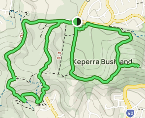 Keperra Bushland Double Loop: 46 Reviews, Map - Queensland, Australia ...
