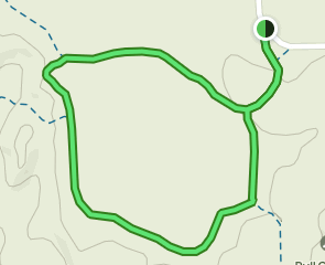 Bull Canyon Short Loop, Texas - 76 Reviews, Map | AllTrails