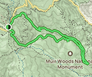 Muir Woods via Bootjack and Ben Johnson Loop: 995 Reviews, Map ...