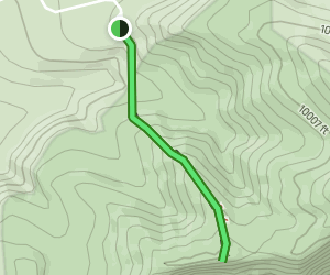 Twisted Forest: 107 Reviews, Map - Utah | AllTrails