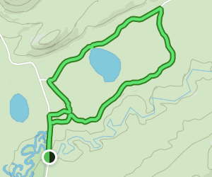 Wheeler Pond Loop: 53 Reviews, Map - New York | AllTrails