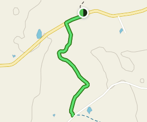 Checkerberry Trail: 4 Reviews, Map - Maine | AllTrails