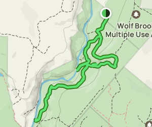 High Falls, Denton Falls, and Mullet Falls: 421 Reviews, Map - New York ...