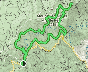 Mount Tamalpais East Peak via Matt Davis to Rock Spring Loop ...