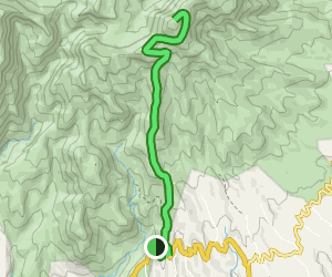 Mount Mandalagan Summit Trail via Don Salvador | Map, Guide - Negros ...