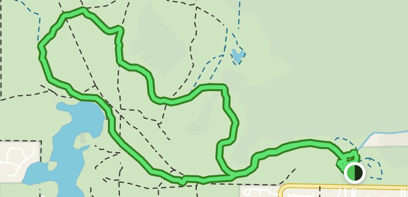 Are Dogs Allowed At Wekiva Springs