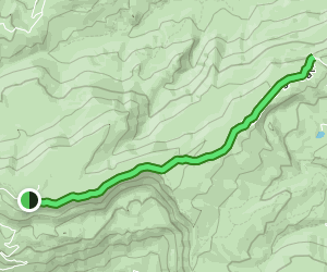 Bethel Ridge OHV Trail: 21 Reviews, Map - Washington | AllTrails