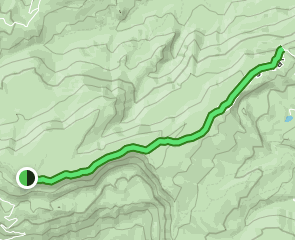 Bethel Ridge OHV Trail, Washington - 23 Reviews, Map | AllTrails