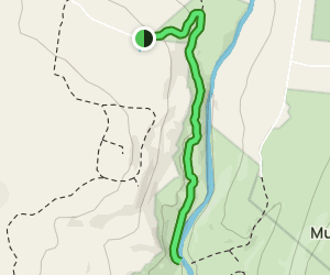 Neversink River via Hiram Jones Road: 28 foto's - New York | AllTrails