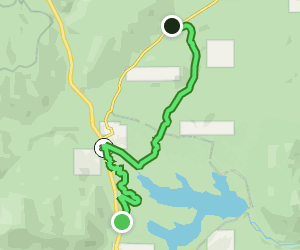 Emigrant Trail: Donner Camp Picnic Area to Hobart Mills Road: 163 ...
