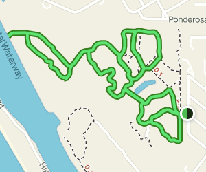 Lemon Bay Preserve Kenisco Scrub Loop: 43 Reviews, Map - Florida ...