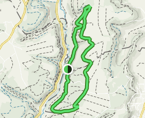In the forest on the Mamer: 4 Reviews, Map - Mersch, Luxembourg | AllTrails