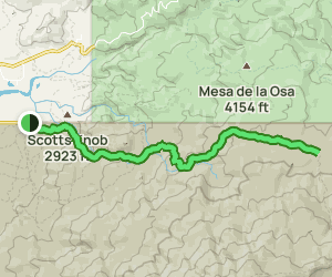 Douglas Spring Camp via Douglas Spring Trail: 439 Reviews, Map ...