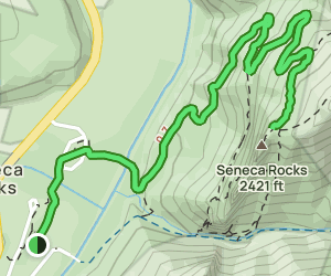 Seneca Rocks Trail: 2279 Reviews, Map - West Virginia | AllTrails