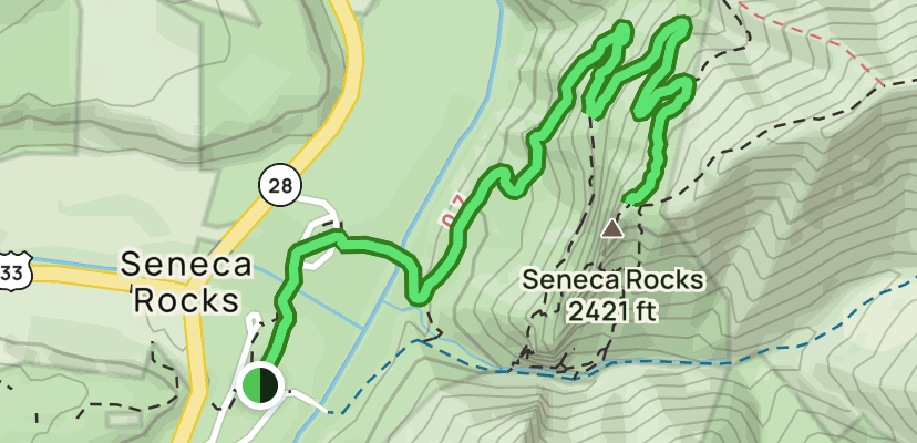 Are Dogs Allowed In The Seneca Rocks State Park