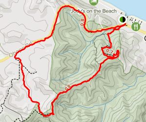 Nga Tapuwae O Toi Loop Walk | Map, Guide - Bay of Plenty, New Zealand ...