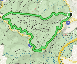 Mount Coot-tha Loop: 913 Reviews, Map - Queensland, Australia | AllTrails