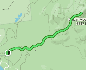 Debar Mountain Trail, New York - 158 Reviews, Map | AllTrails