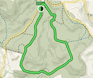 Lyrebird Walk, Neuman, Paddy, and Coles Ridge Loop: 767 Reviews, Map ...